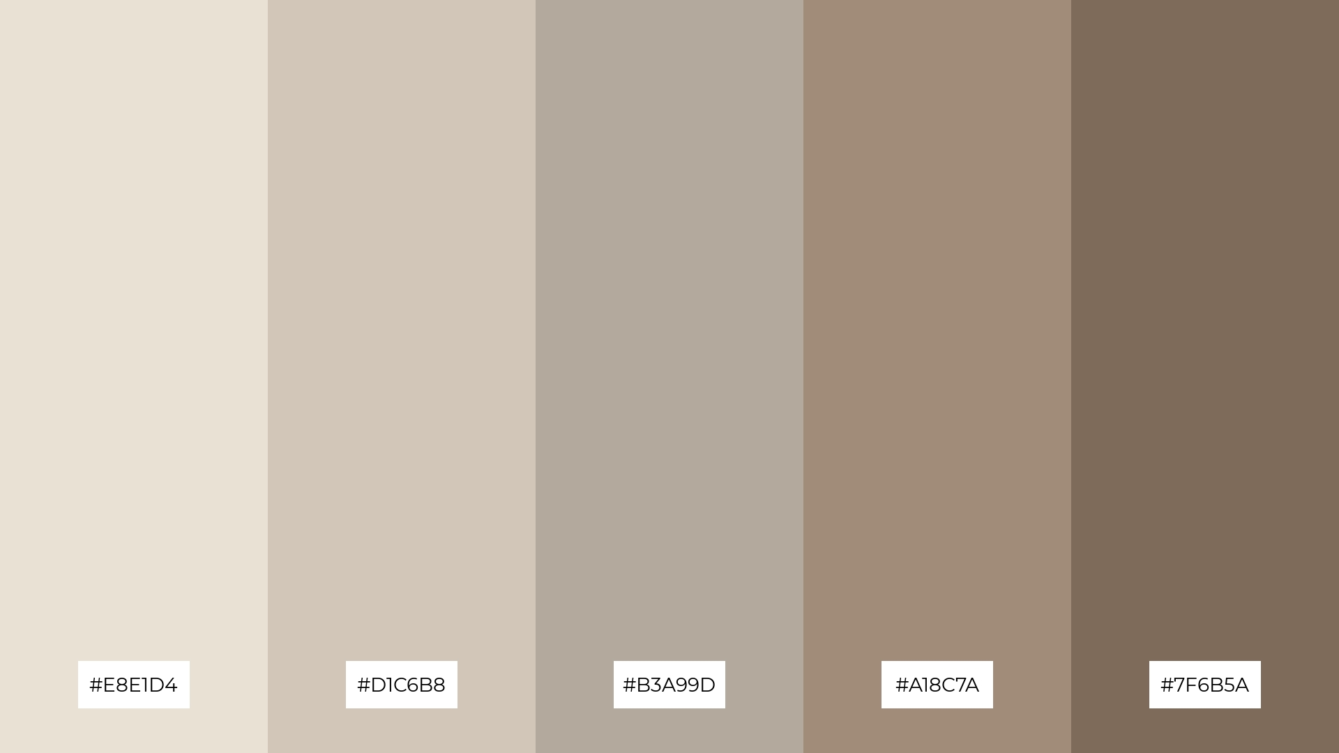 The Best 15 Pharmacy Color Palette Combinations