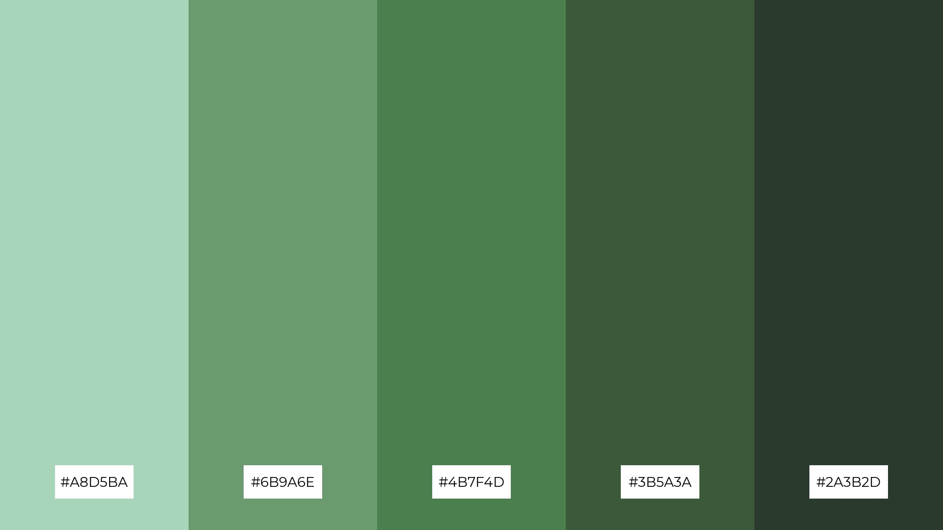 The Best 15 Watercolor Color Palette Combinations