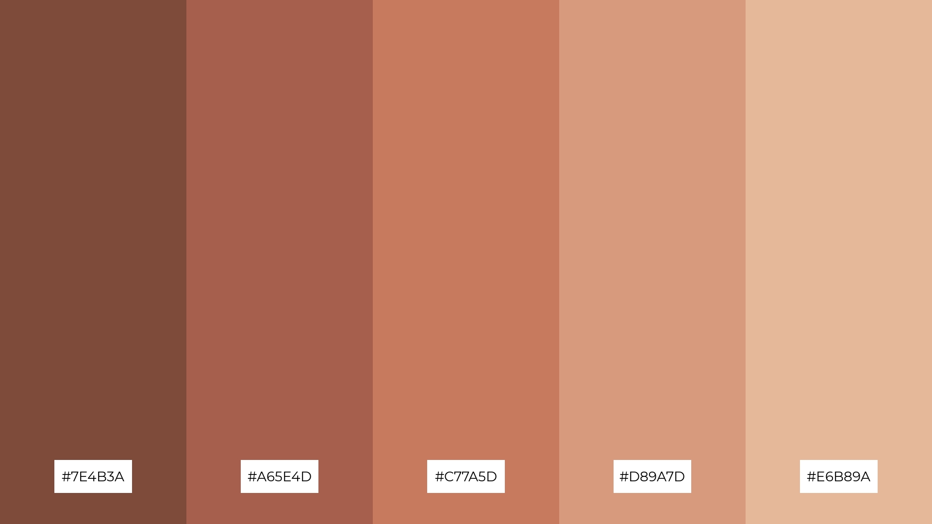 The Best 15 Zombie Apocalypse Color Palette Combinations