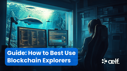 What Are Blockchain Explorers, and How to Use Them