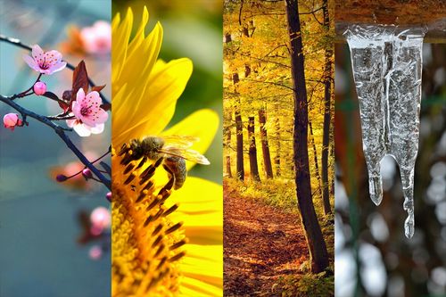 6 Ways the Change of Seasons Affects Your Brain