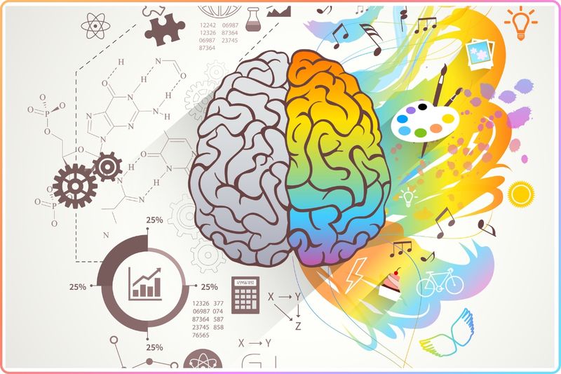 The 4 Best Brain Training Tools: NeuroTracker, Lumosity, BrainHQ, and ...