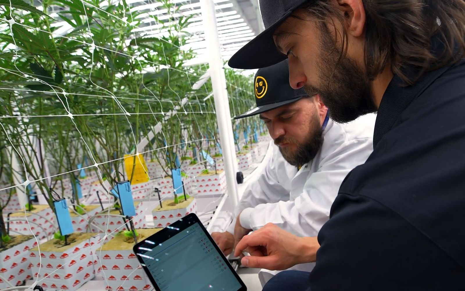 Growlink Grow Software | Optimize Your Cultivation with Data-Driven Control