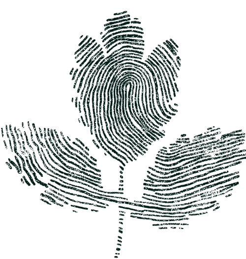 Greenhouse | Applicant tracking software & hiring platform