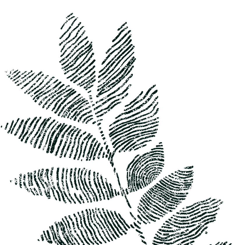 Greenhouse | Candidate experience