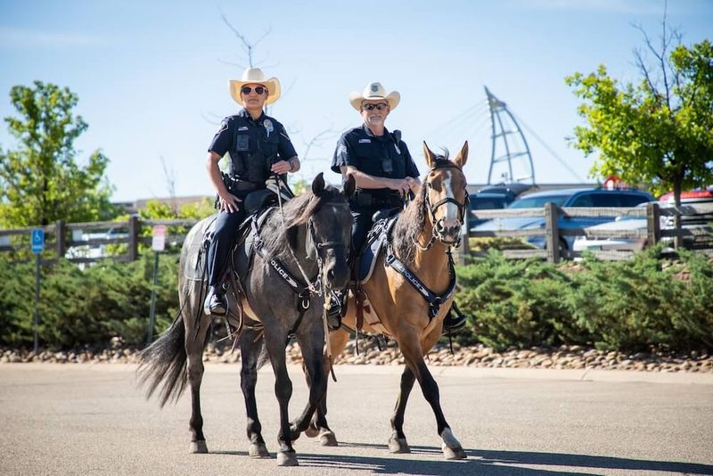 Join the Lone Tree Police Department!