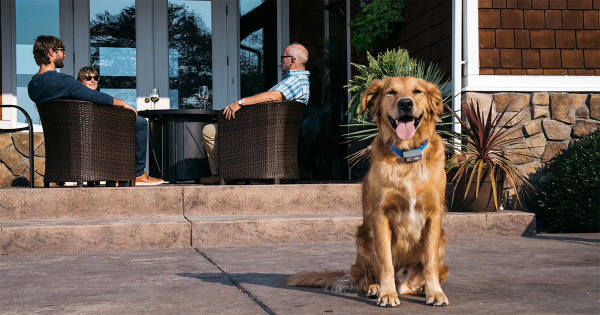 Dog Guard Midwest | Quote Request Submitted