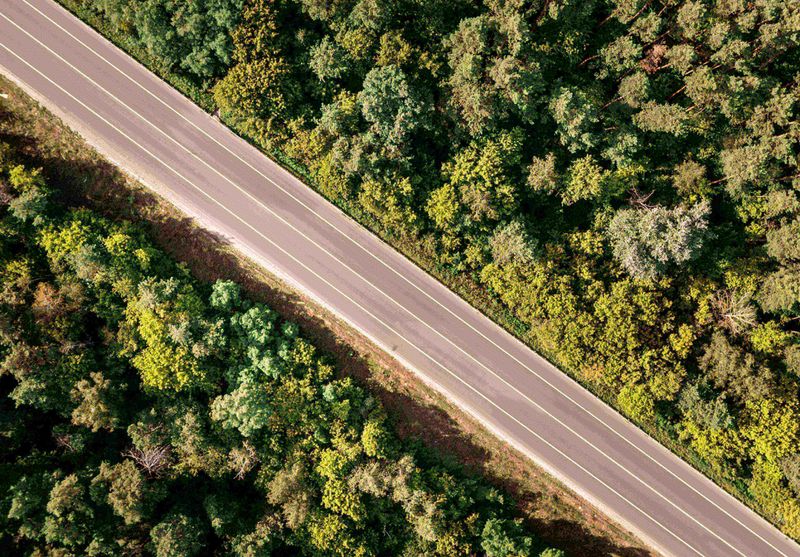 Best Transportation Management System (TMS) | Tramm