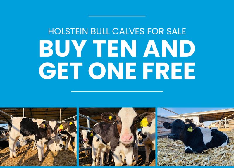 Namibia Dairies | Dairy Products in Namibia - Everyday goodness