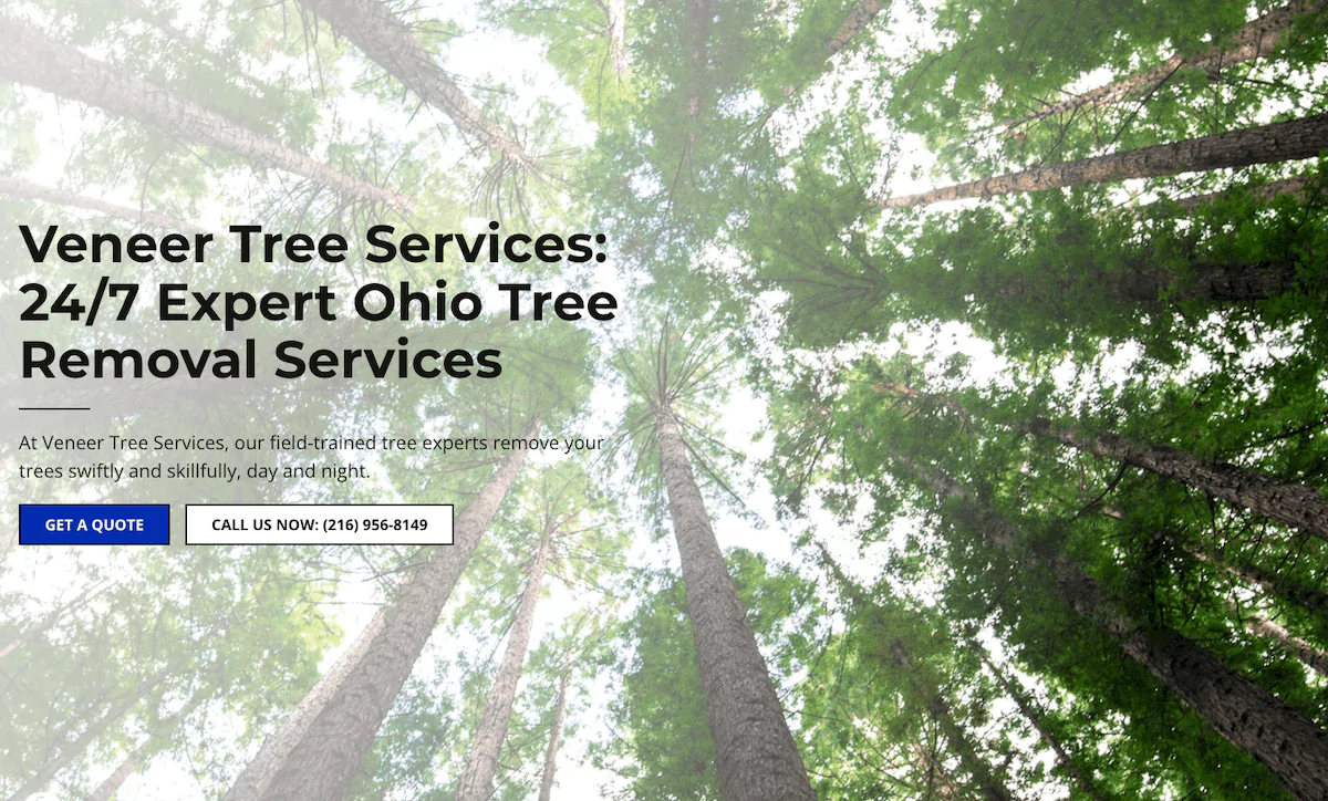 Veneer Tree Services | Northeast Ohio Tree Cutting & Removal Services