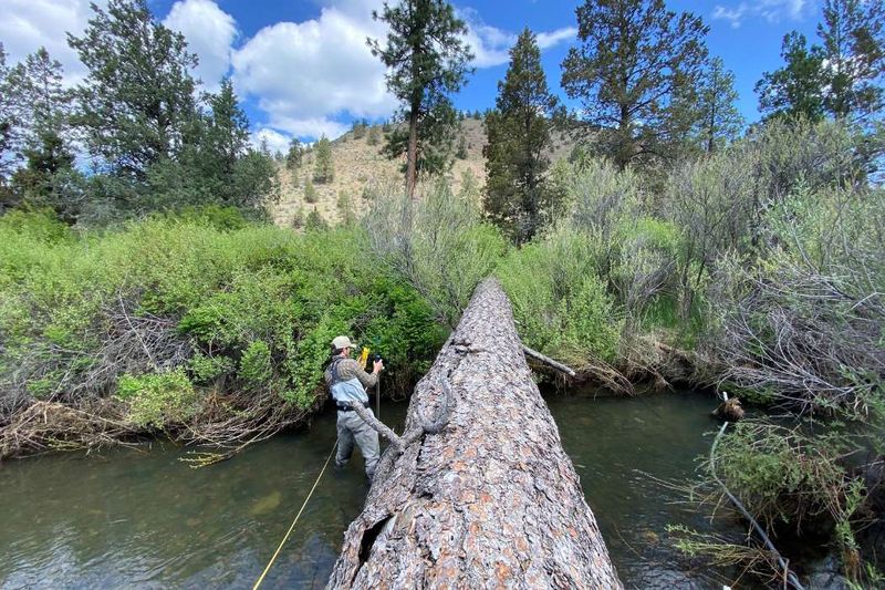 Restoration in Central Oregon | Deschutes River Conservancy