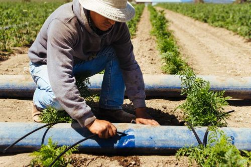 Restoration in Central Oregon | Deschutes River Conservancy