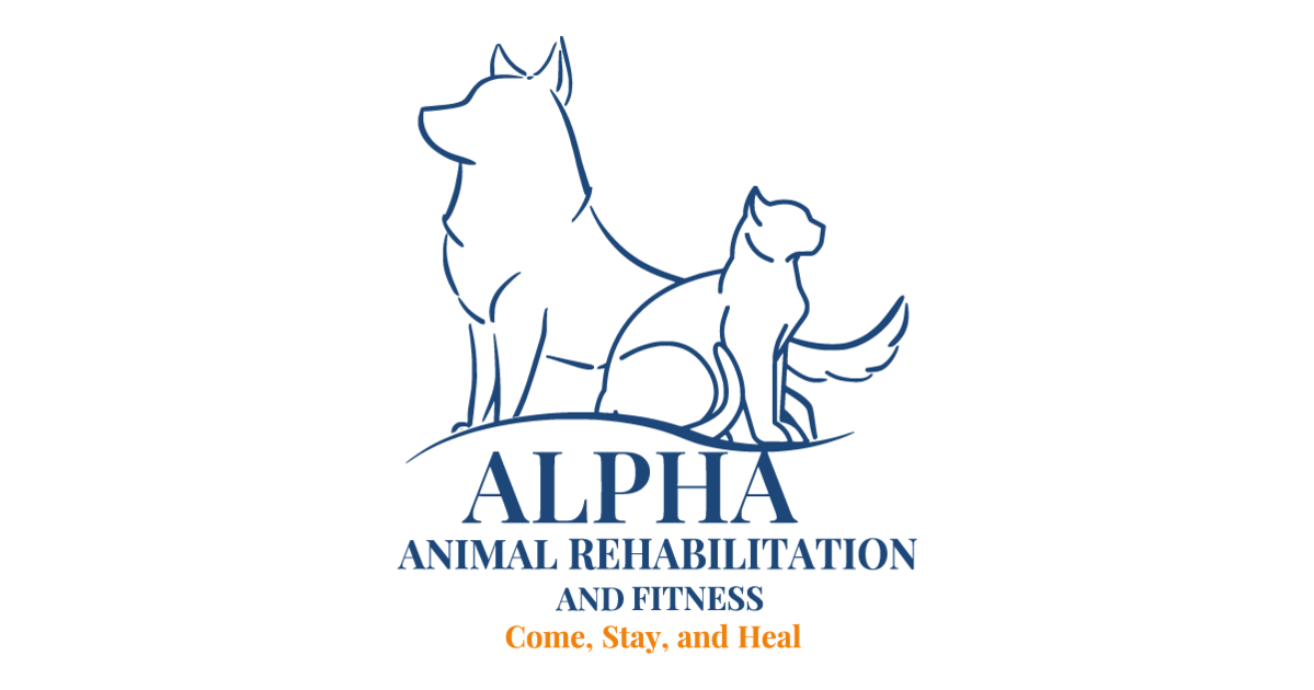 Canine Rehab & Dog Physical Therapy in West Caldwell, NJ