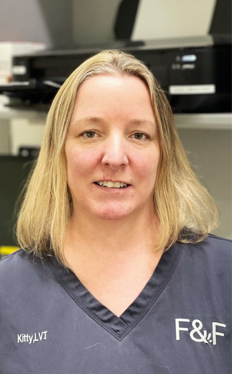 Felix&Fido - Vet care without compromise