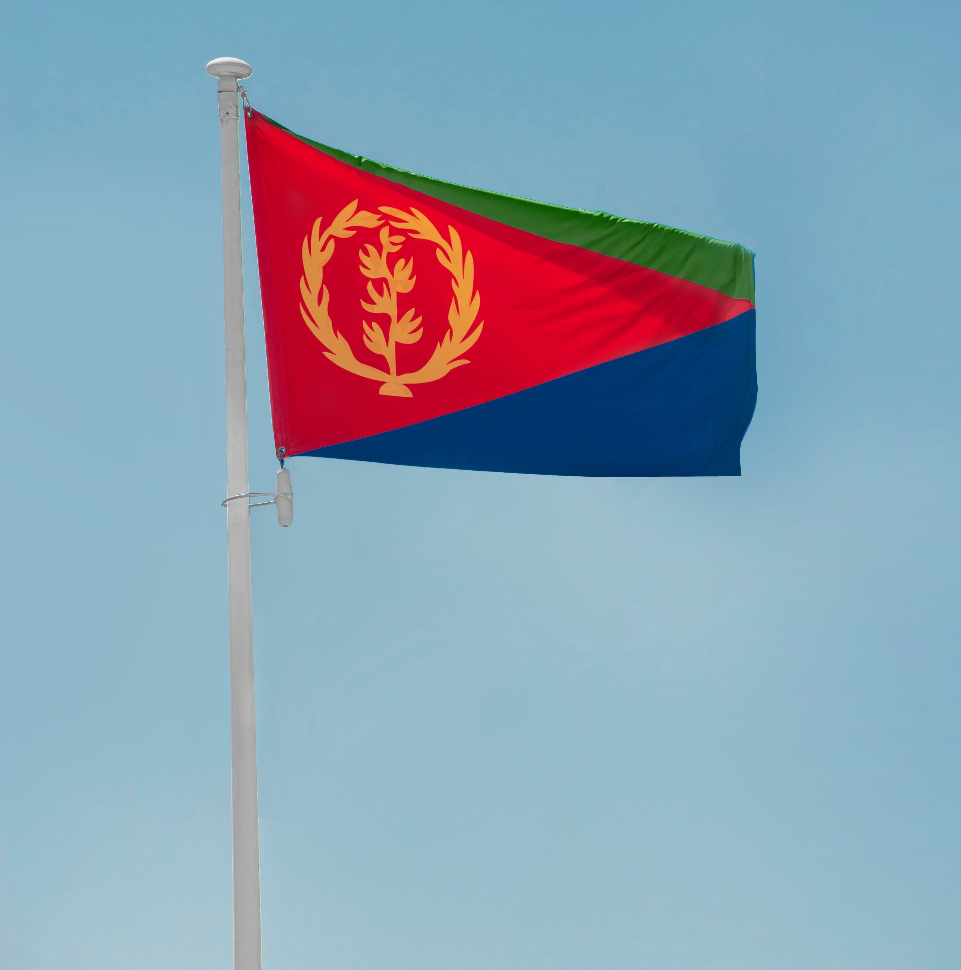 Tiny Nation, Big Talent: How Mongolia Entered The World's Math Elite