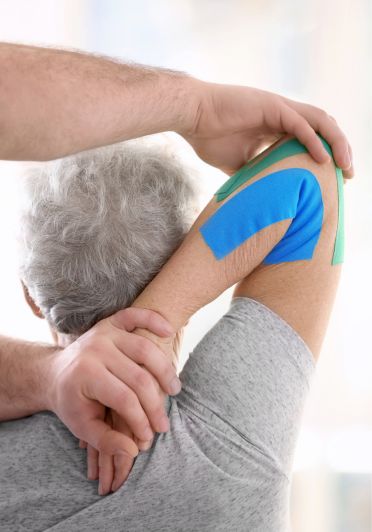 Equine & Canine Physiotherapy Follow Up Clinical Notes Template