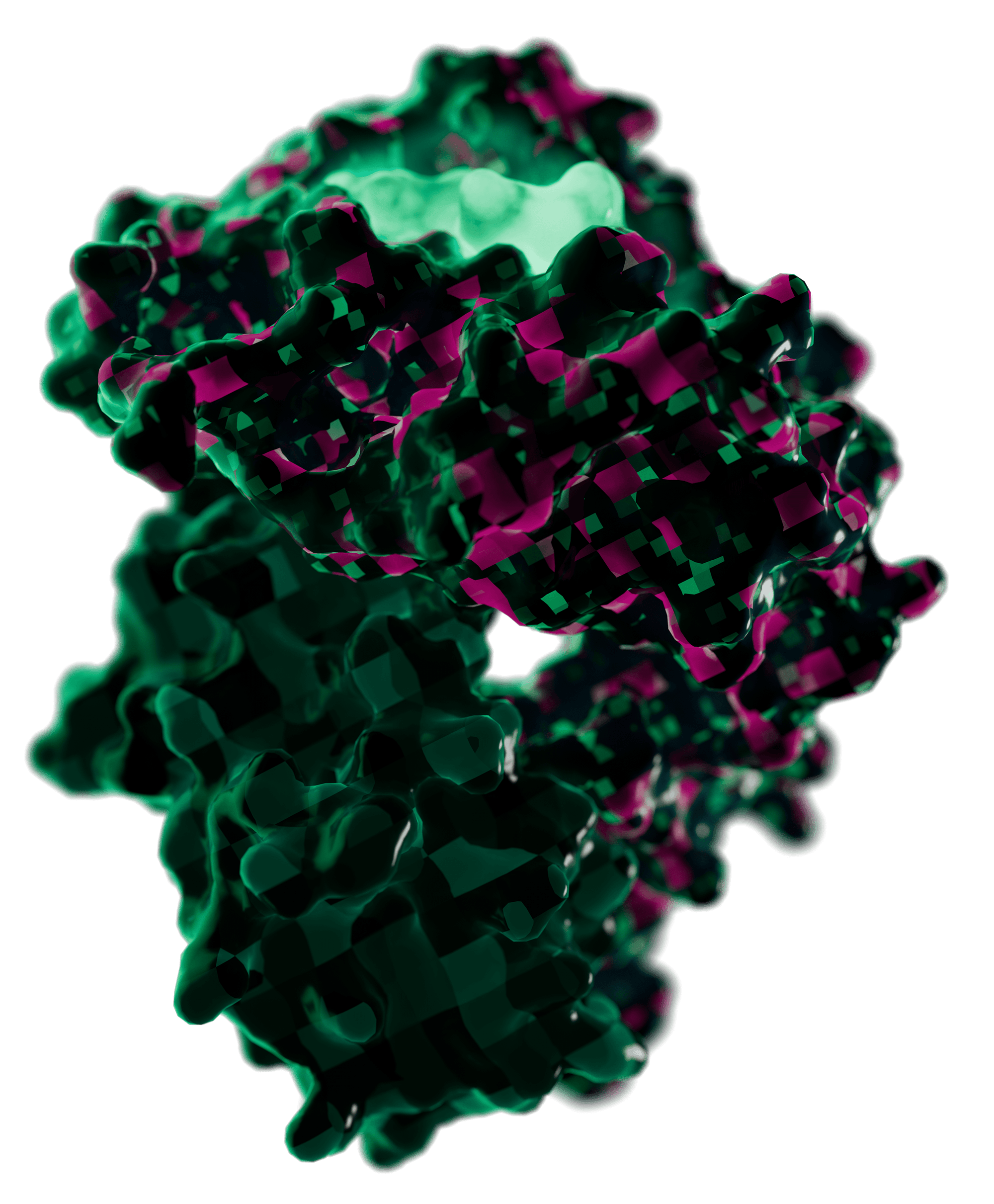 PIRCHE | Digital Epitope Matching Technology