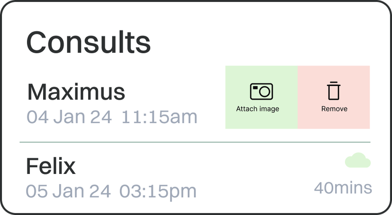 Whippet Notes | AI-Powered Veterinary Scribe