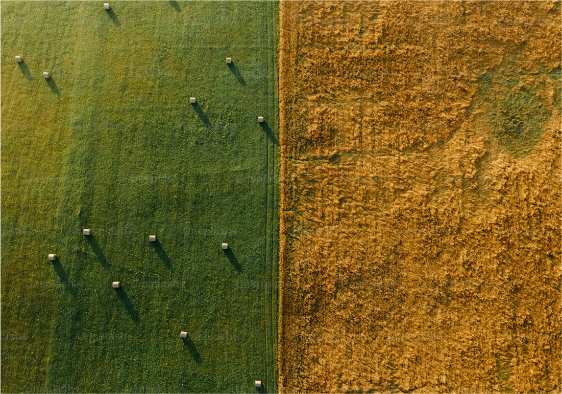 Tim Barclay | Anthony Harper | Partners in Progress