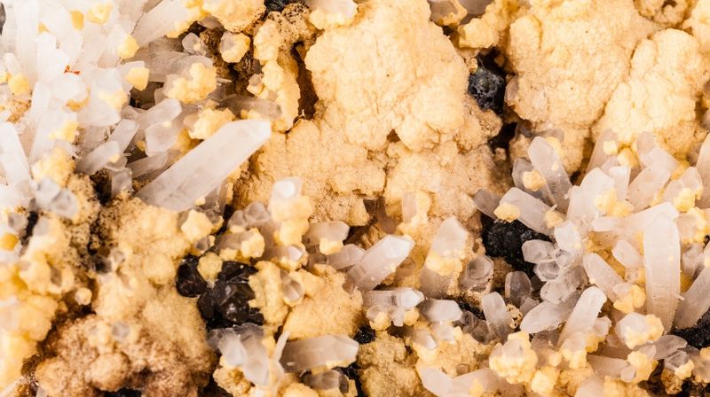 The Sulfite Sensitivity Survival Guide: Foods to Avoid and Managing ...