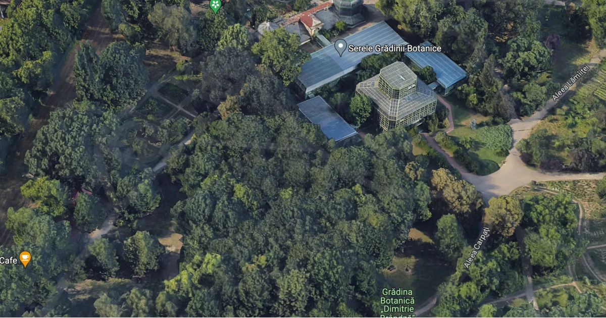 Festivalul Strada Armenească - Sărbătorim‍ Diversitatea Culturală!