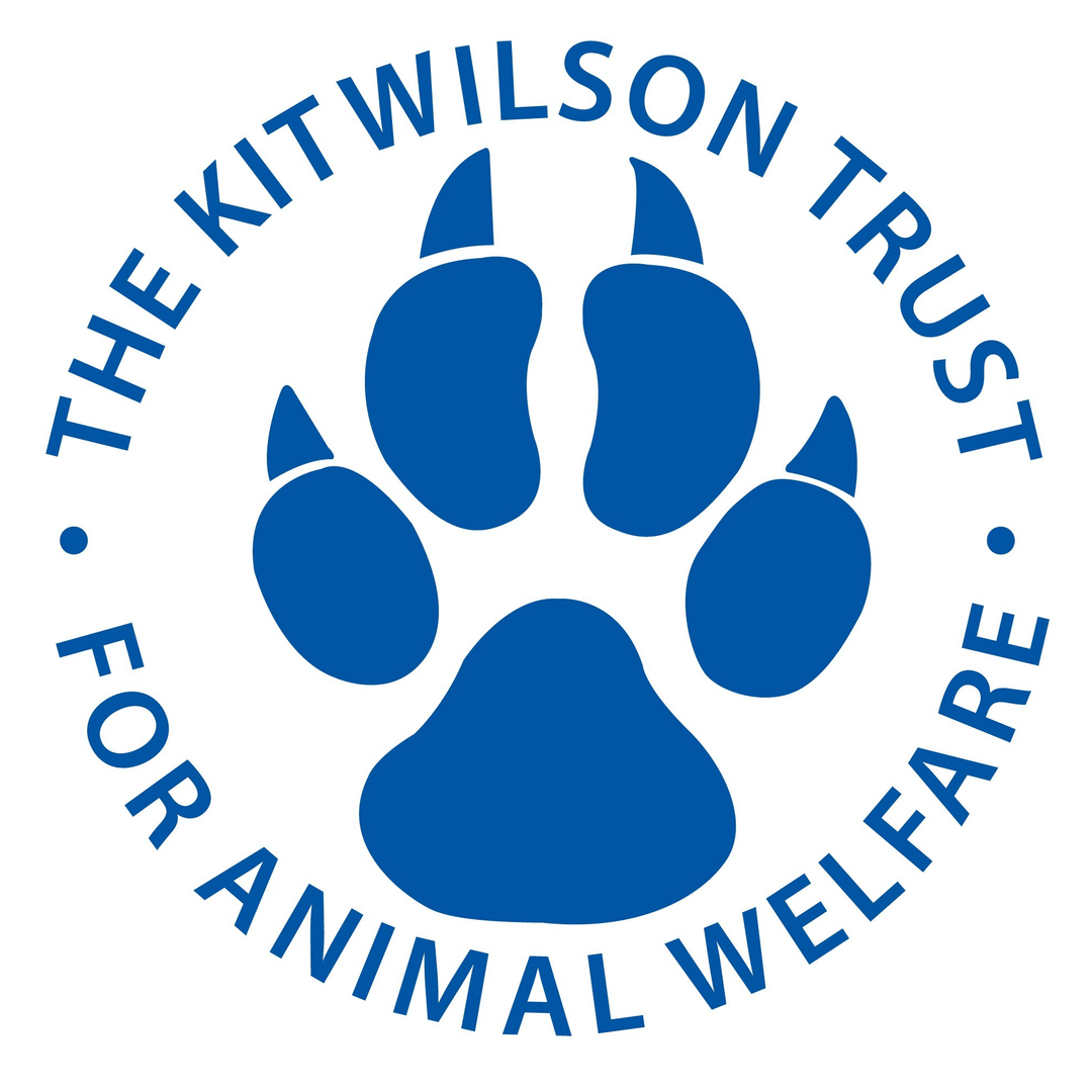 Animal Rescue Centre Assistant (ARCA) | Job Vacancies | Kit Wilson ...
