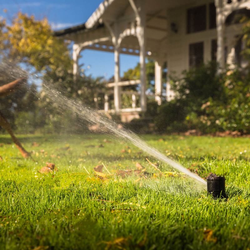 Garden Irrigation Systems NZ | Home Watering Solutions