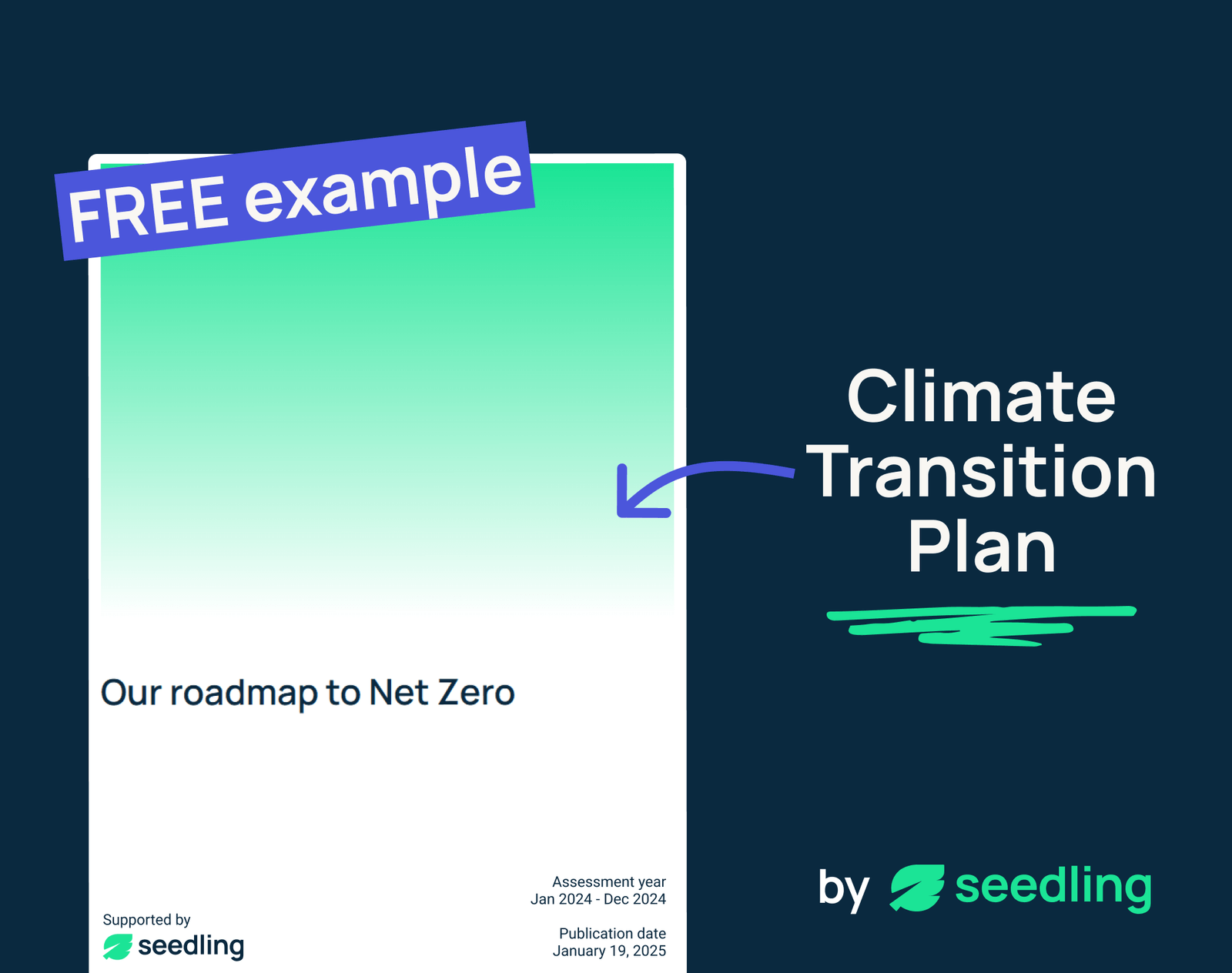 Free Climate Transition Plan Example Report | Seedling Earth