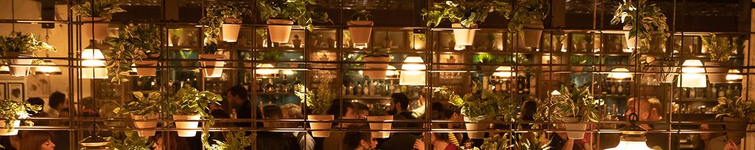 The Botanist, Cheltenham - Cocktail bar and restaurant