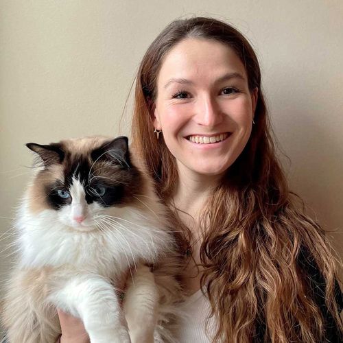 Meet Our Expert Veterinary Team | Paramount 24 Hr Animal Hospital