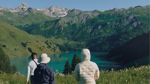 Negotiation Strategy Examples: Real-Life Scenarios and Lessons Learned ...