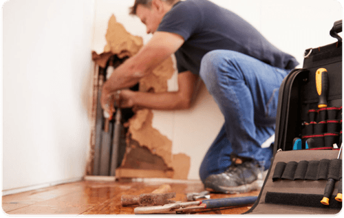 Cut and Dry Restoration