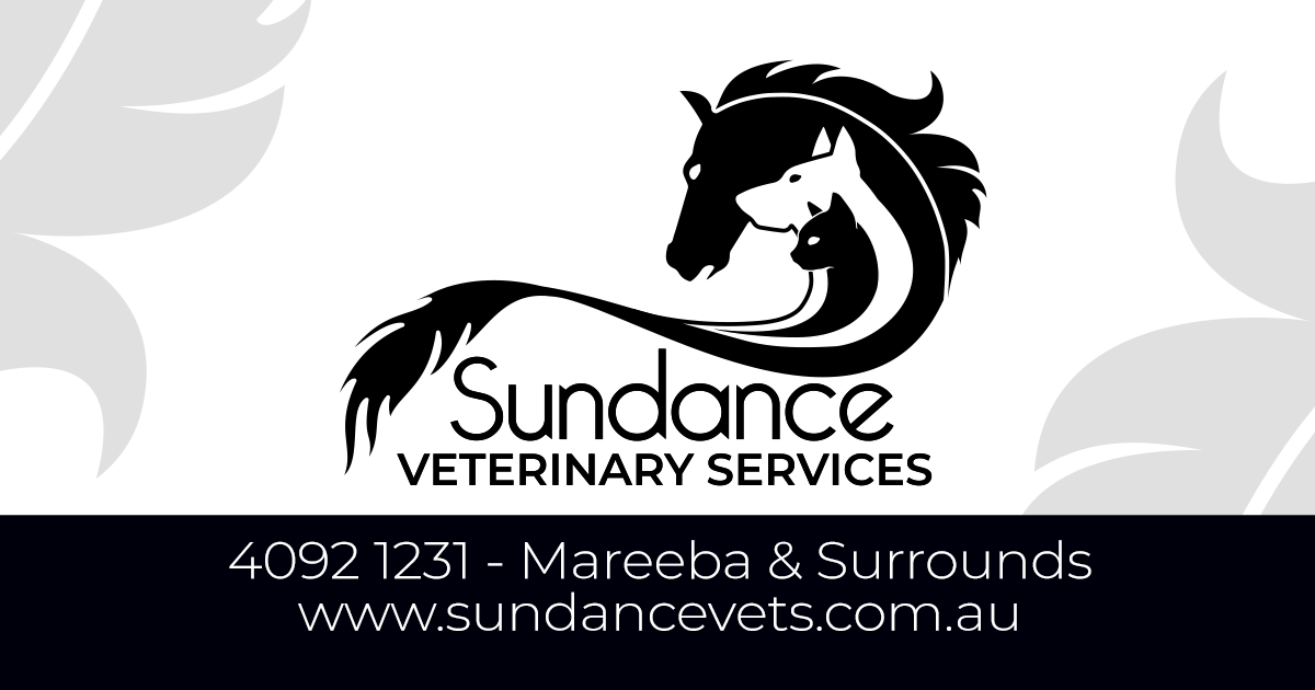 Sundance Veterinary Services | Mareeba and Surrounds