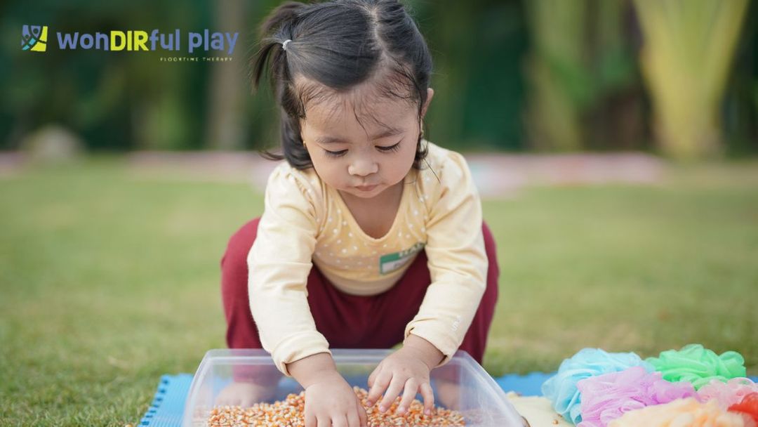 DIR Floortime Milestones: Tracking Progress at Each Developmental Level