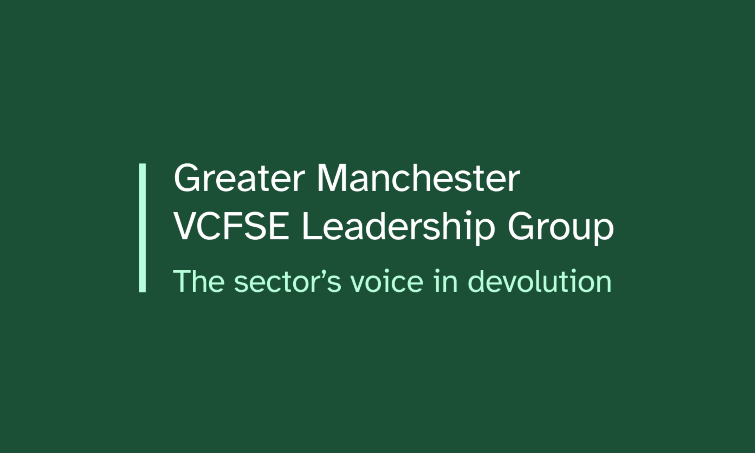 About the GM VCFSE Sector