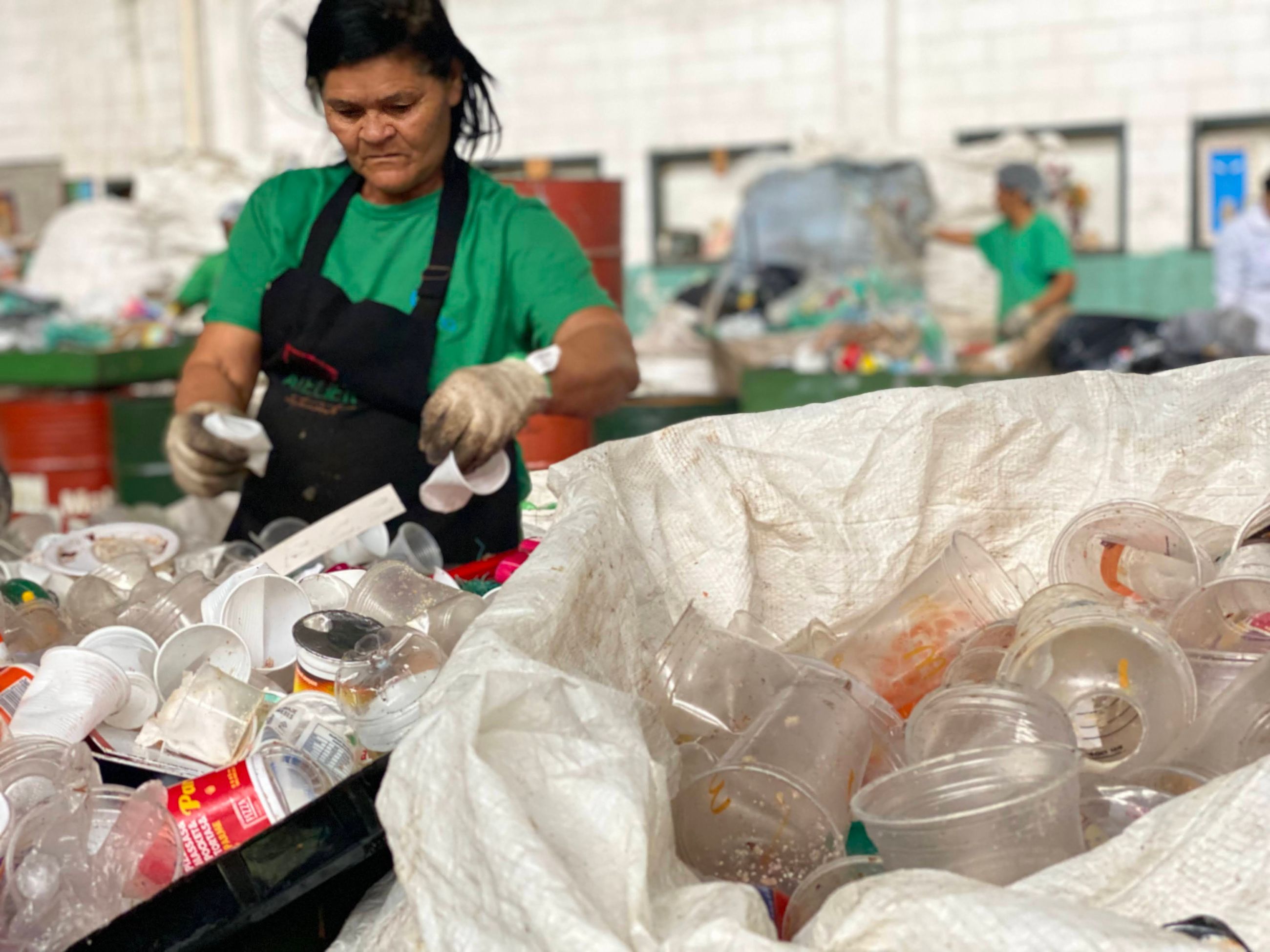 Planks of Promise: Scaling the collection and recycling of hard-to ...