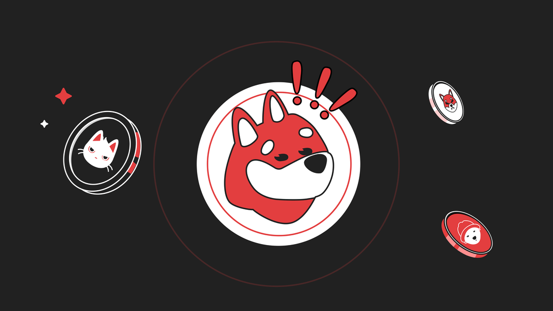 什么是Meme Coin？