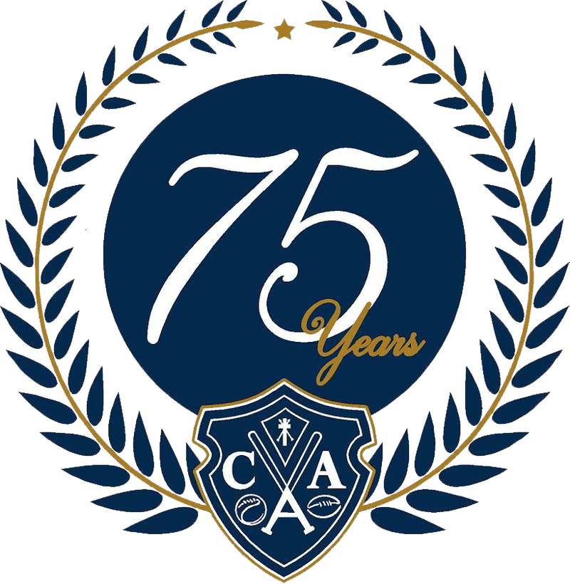 Understanding the Penalty System in Ice Hockey: Minor vs. Major Penalties