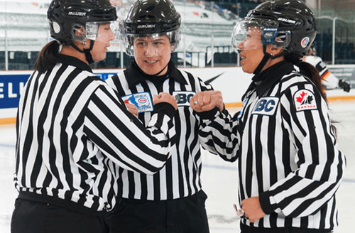 How Seasonal Sports Affect Referee Earnings: Comparing Winter vs ...