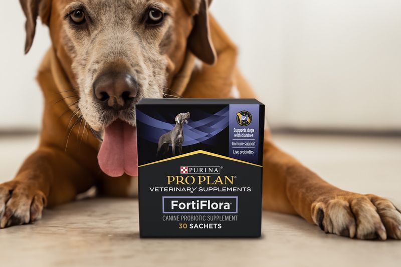 Purina Fortiflora Probiotics for Dogs Review - Doggy's Digest