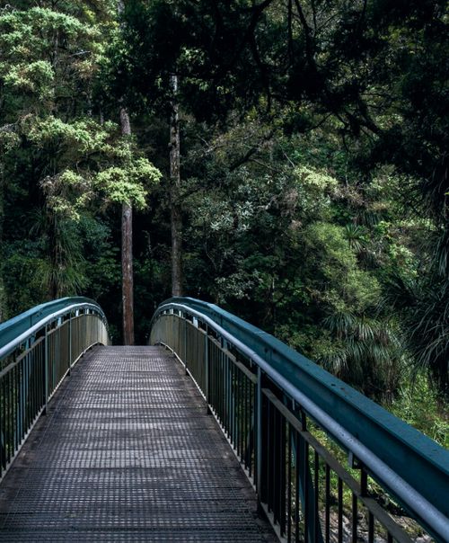 Signapse AI | Sign Language Technology