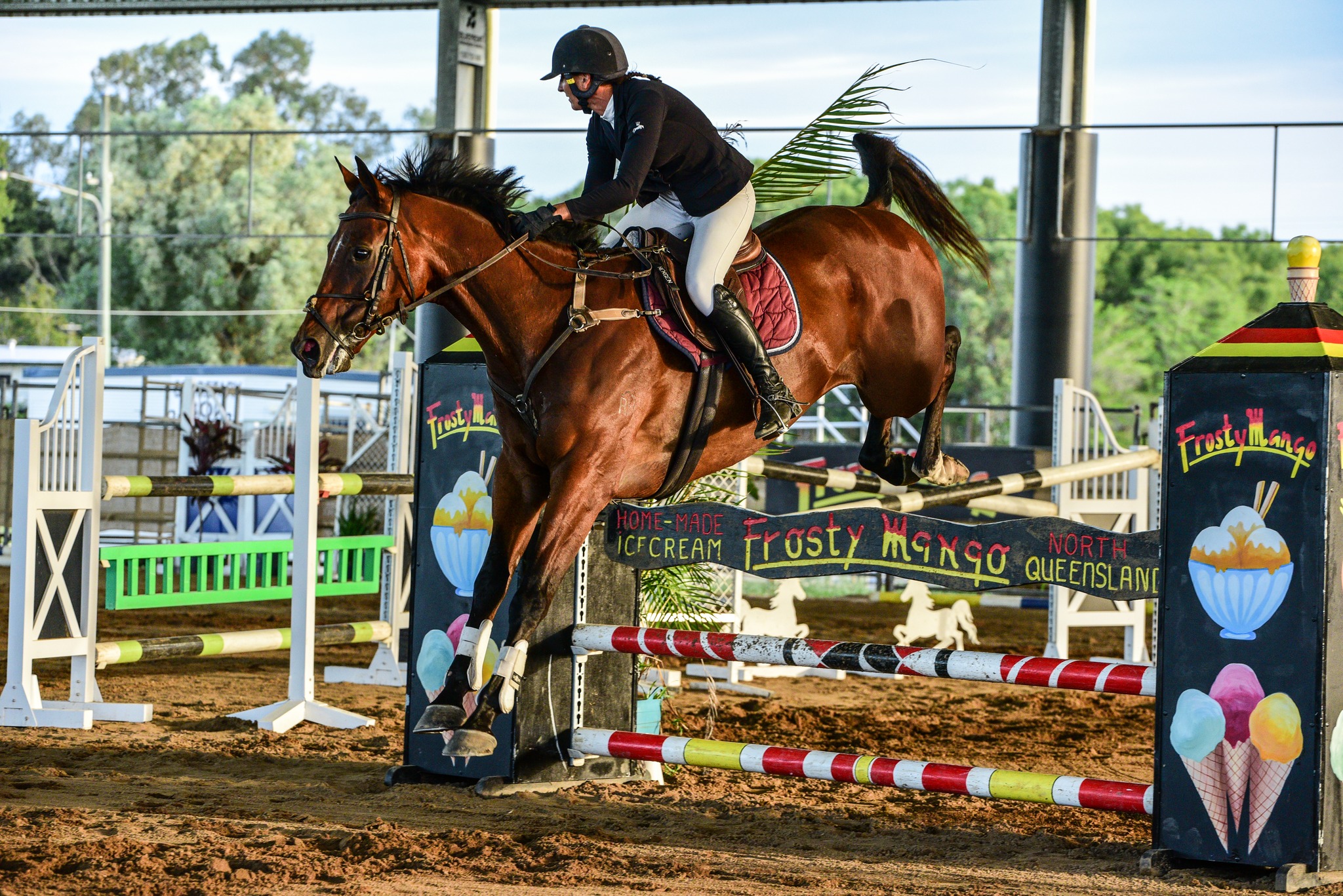Discover The Magic Of Cardwell's Markets - Hinchinbrook Life