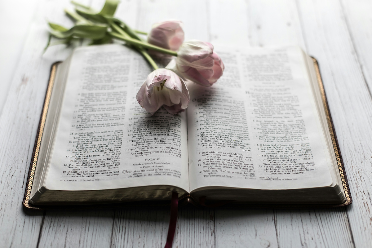 50+ Bible Verses About Hiding (And What They Mean)