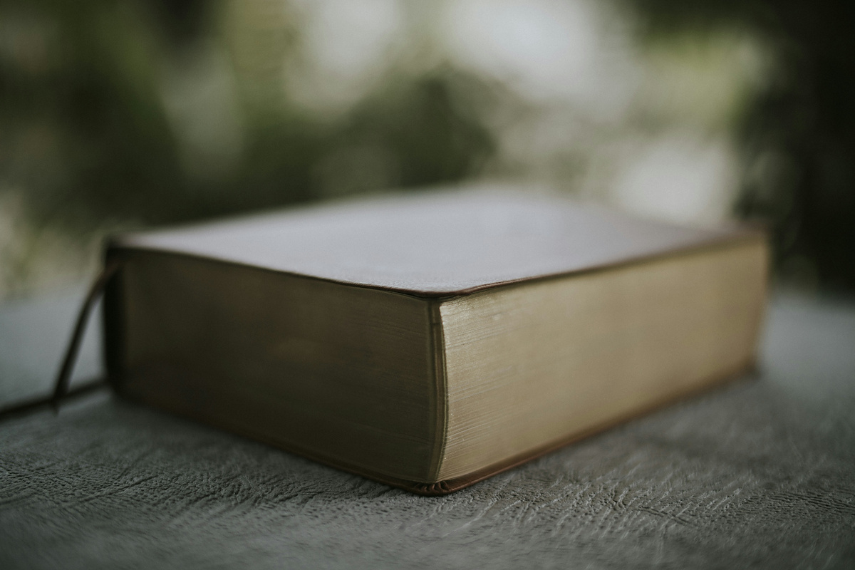 50+ Bible Verses About Insects (And What They Mean)