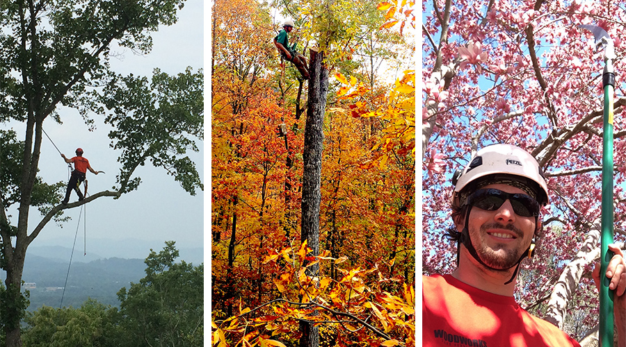 Woodworks Tree Service: Tree Care in Woodstock NY