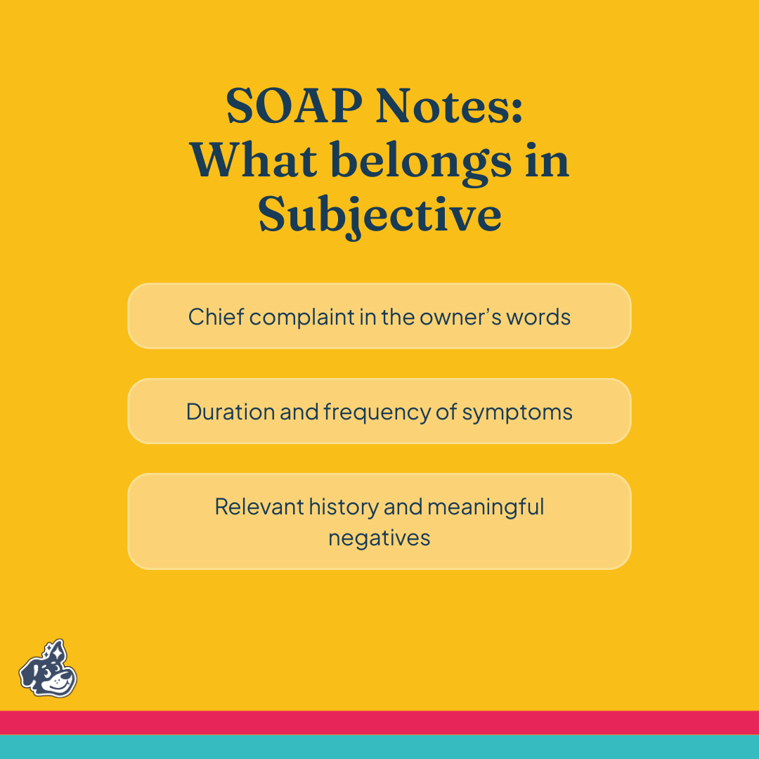 What Makes a Good Veterinary SOAP Note (With Examples) | HappyDoc | AI ...