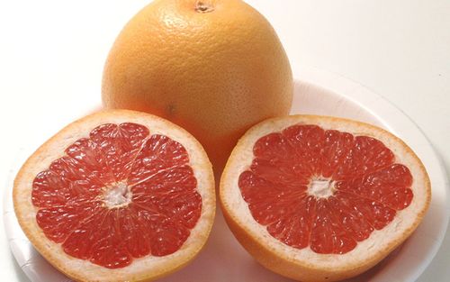 Grapefruit Citrus Tree
