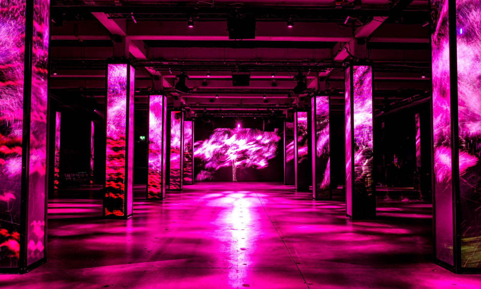 AMAZE | Immersive Audiovisual Experience Amsterdam | Book your experience