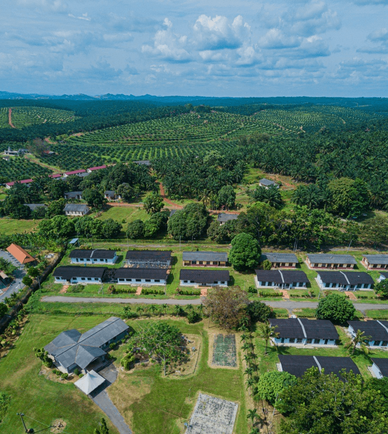 Own Best Managed Farmland near Bangalore | Hasiru Farms