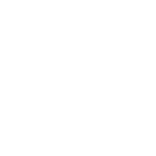 Gen-3 - Stay protected with the best. Professional paint and interior ...